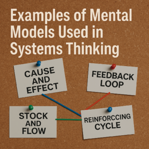 What Are Mental Models In Systems Thinking?