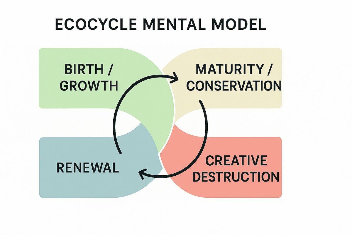 The Ecocycle Mental Model: Framework for Navigating Complexity
